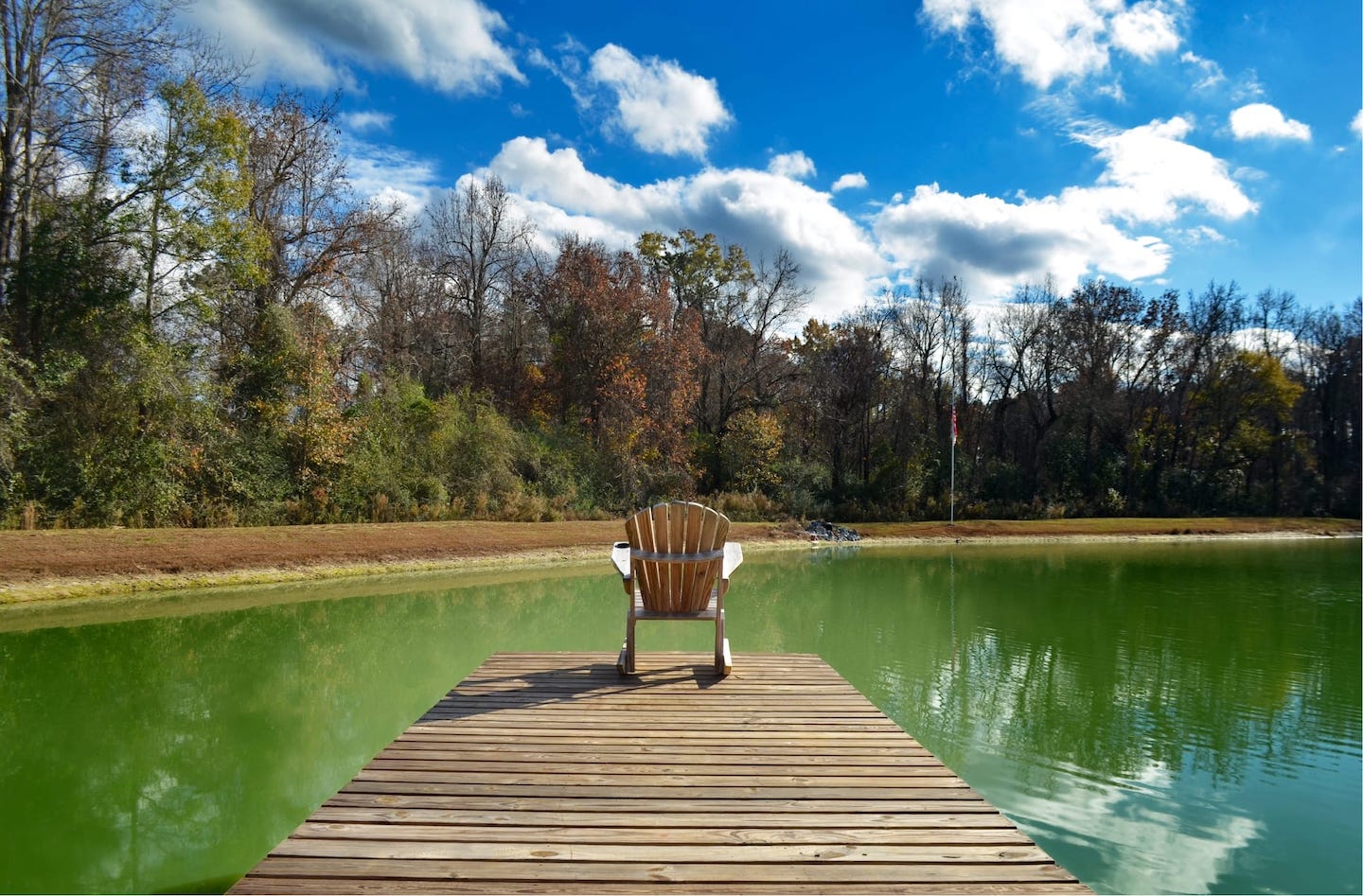 Photo Gallery - Triple F Farm | Rocky Point NC