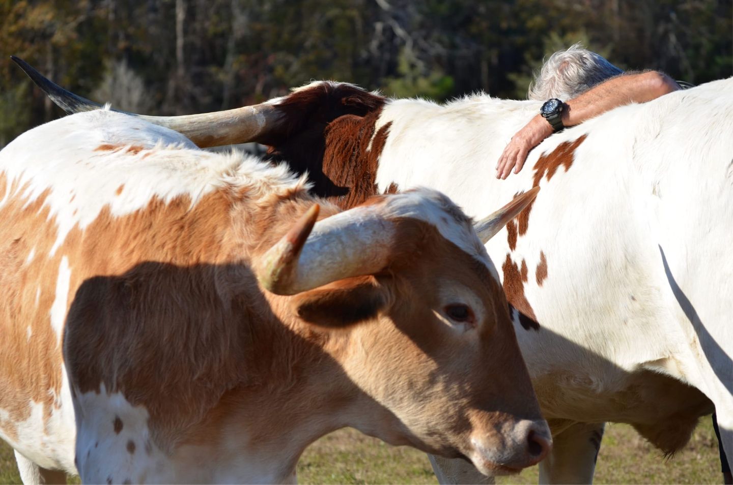 Photo Gallery - Triple F Farm | Rocky Point NC